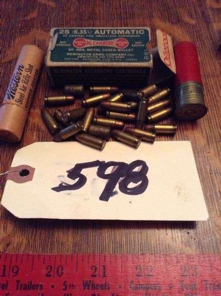 12 Ga Shell 25 Auto Shells Air Rifle Shot Duck Soup Auctions