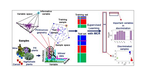 Workflow For The Supervised Learning Of Chemical Data Efficient Data Reduction Multivariate