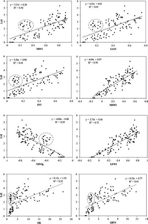 The Relationship Between Field Leaf Area Index Lai And Satellite Like