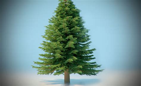 Model Your Way Into The Holiday Spirit With A Houdini Tree Lesterbanks Model Your Way Into The Holiday Spirit With A Houdini Tree Lesterbanks