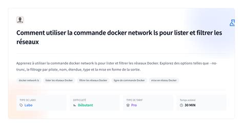 Comment Utiliser La Commande Docker Network Ls Pour Lister Et Filtrer