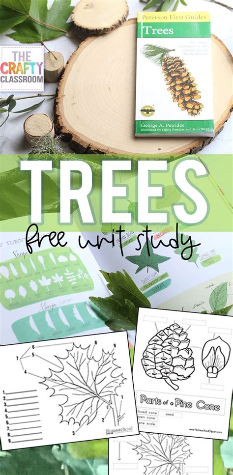 Free Trees Unit Study Artofit