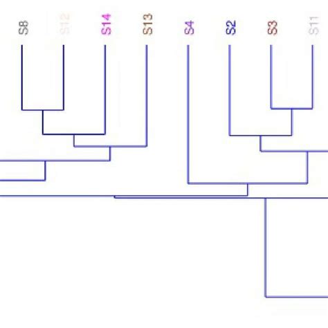 sample similarity and distance matrices using bray curtis of the