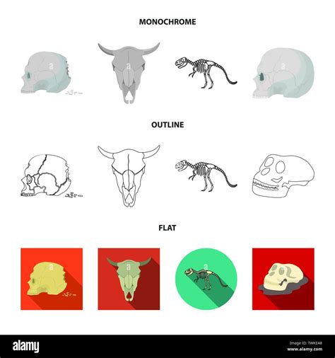 Vector Vectors Stock Vector Image And Art Alamy