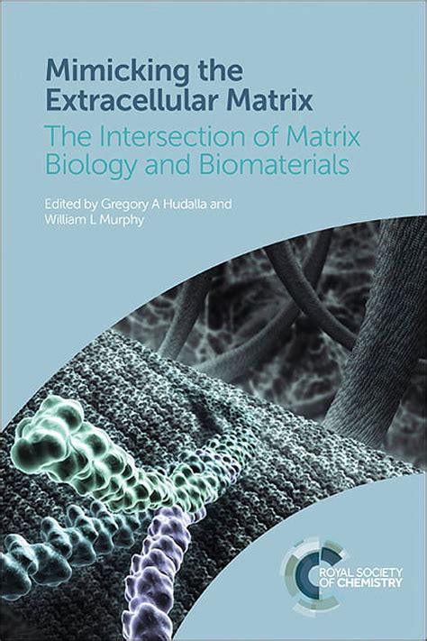 Mimicking The Extracellular Matrix The Intersection Of Matrix Biology And Biomaterials