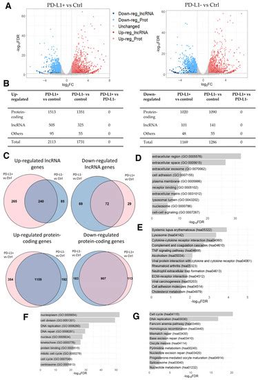 Non Coding Rna An Open Access Journal From Mdpi