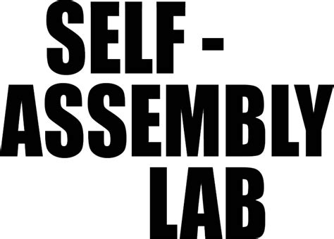 self assembly lab