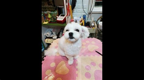 예쁜아가들♡♡♡~~~ Youtube