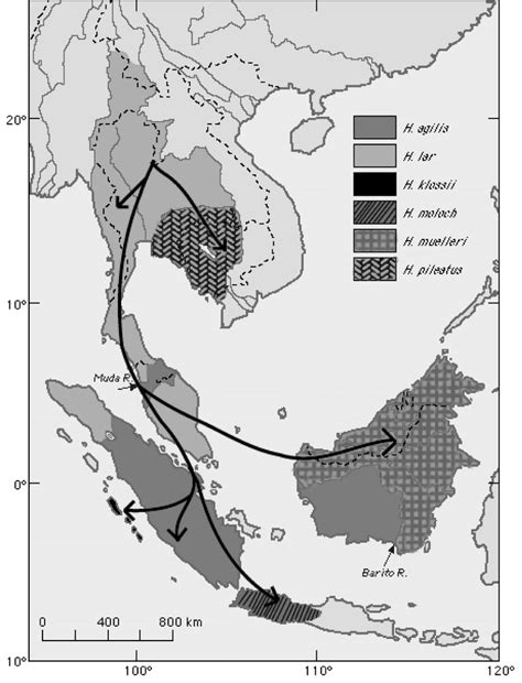 6 Hypothetical Path Of Ancestral Migration In Biogeographic Scenario