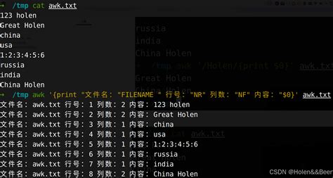 17shell好用工具：awk Csdn博客