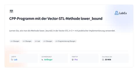 C Vector Stl Methode Lowerbound Labex