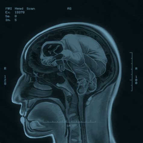 The Human Brian Alt Ver Under The Cut Clo D00d On Tumblr