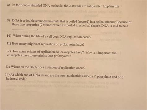Solved 8 In The Double Stranded Dna Molecule The 2 Strands