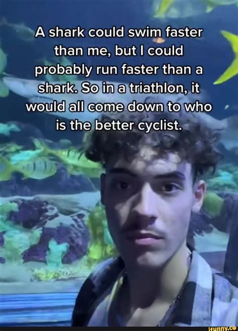 A Shark Could Swim Faster Than Me But I Could Probably Run Faster Than A Shark So Ina