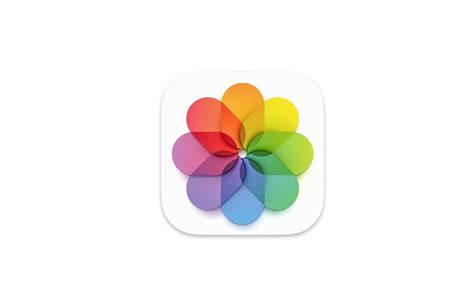 How To Use Ai Subject Selection In Photos In Ios 16 And Macos Ventura
