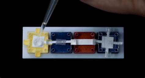 Blocks Hackaday