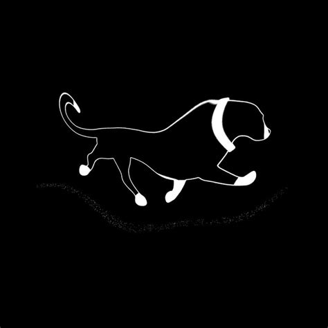 Walk Cycle  By Sam Woo Staar Find And Share On Giphy Giphy 