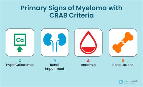 Multiple Myeloma Symptoms Diagnosis Images Treatment