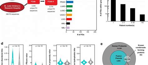 Predicting Condensate Formation By Cancer Associated Fusion Oncoproteins Worldmedicinefoundation