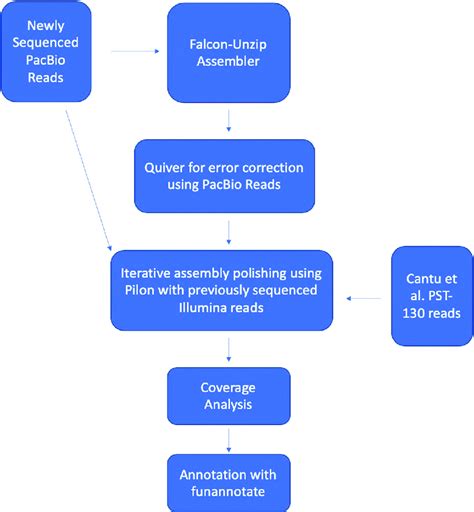 overview of the bioinformatics pipeline bioinformatics pipeline used