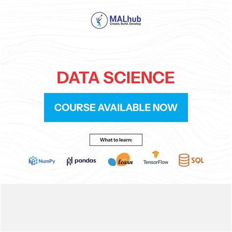 Techwithmalhub Techskills Malhub