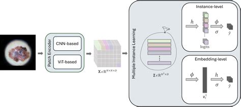 Key Patches Are All You Need A Multiple Instance Learning Framework