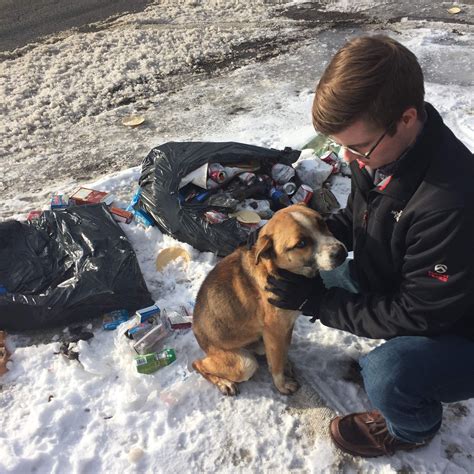 Man Bun Trash Bag Meme Memestund