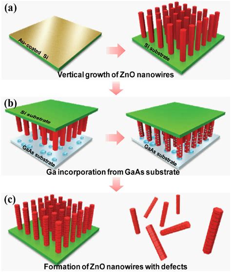 Schematic Diagrams Illustrating The Formation Of Vertically Aligned Zno Download Scientific