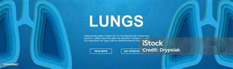 폐 종이 머리 승진 배너에 대한 기호를 잘라 수평 컷 아웃 종이 그림 장기 해부학 디자인 템플릿 일러스트 개념 3차원 형태에