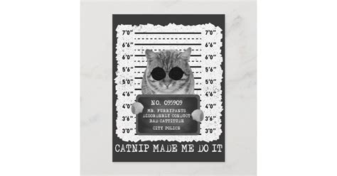 Cute Catnip Made Me Do It Cat Mugshot Postcard Zazzle