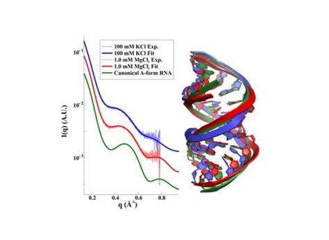 Twisting The Helix Salt Dependence Of Conformations Of Rna Duplexes