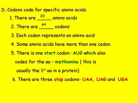 12 3 Part 2 Genetic Code And Protein Synthesis Ppt Download