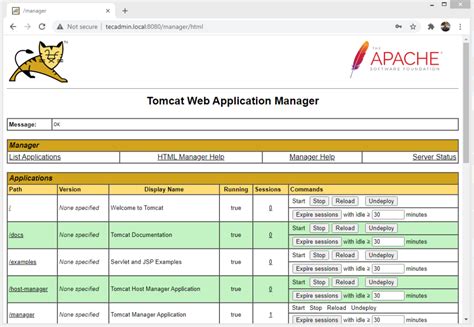 How To Install And Configure Tomcat 10 On Ubuntu 2204 Tecadmin