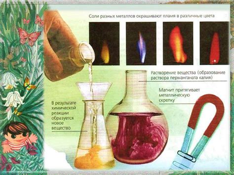 Наблюдение и эксперимент как ведущие методы в биологии презентация онлайн