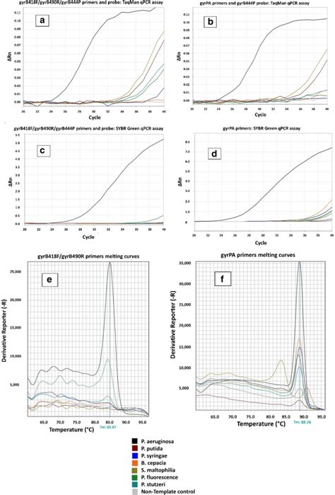 Amplification And Melting Curves Of Qpcr Assays For Specificity Download Scientific Diagram
