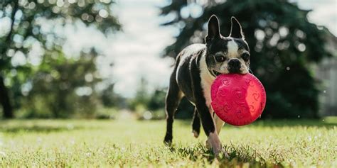 Like React Query And Redux Youll Love Rtk Query Dev Community