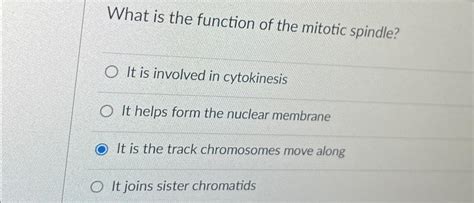 Solved What Is The Function Of The Mitotic Spindleit Is