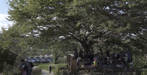 느티나무 아래 다음영화