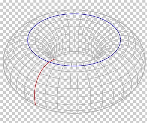 Torus Interconnect Topology Circle Mathematics Png Clipart Angle Area Circle Cycle Donuts