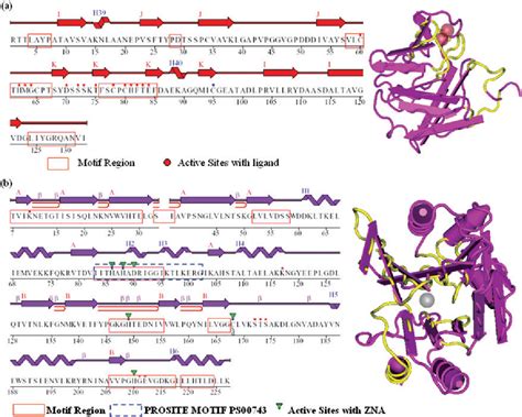 Figure 7 From Bioinformatics Original Paper Structural Bioinformatics