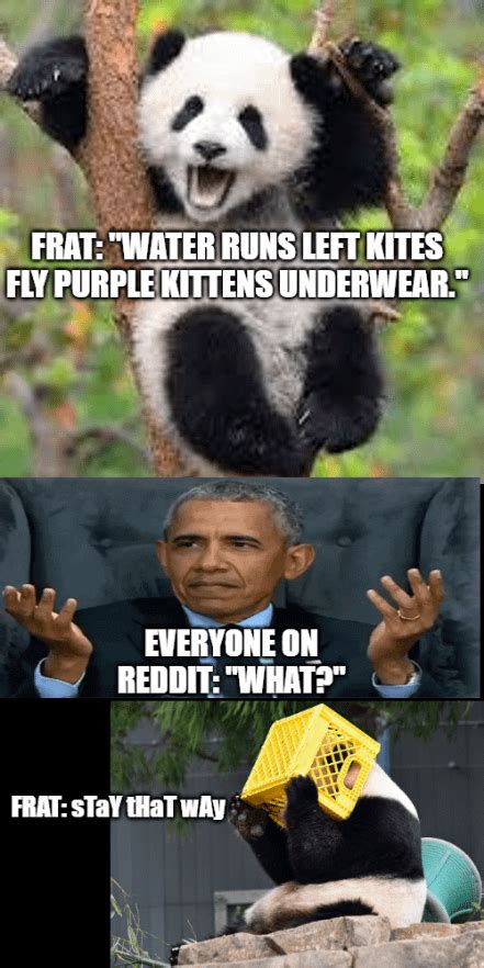 Me Reading R Eve Today R Eve