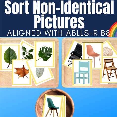 Match Sort Non Identical Pictures For Aba Autism Ablls R B8 With Photos Made By Teachers