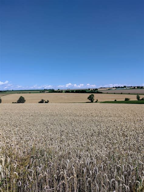 مصور فوتوغرافي Lanze، صور الطقس في Ottmarsheim Weawow