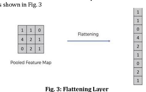 Figure 6 From Animal Detection Using Deep Learning Algorithm Semantic
