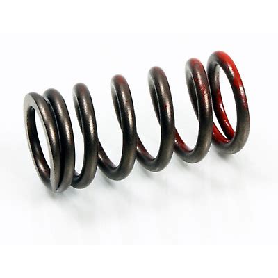 Psychic Exhaust Valve Springs Xu 09519es Ebay