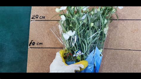 미니델피늄화이트 생화 인터넷꽃도매시장 생화택배 생화도매 인터넷꽃시장 인터넷꽃도매 장미대량구매 꽃 꽃다발 꽃도매 꽃시장 부산꽃시장 김해꽃시장 꽃쇼핑몰 김해꽃 부산꽃