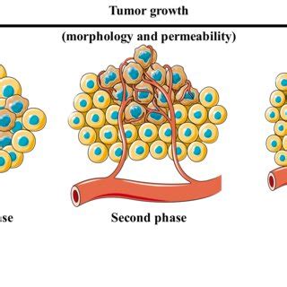 Schematic Representation Of Core Shell Nanostructures And Possible Download Scientific Diagram