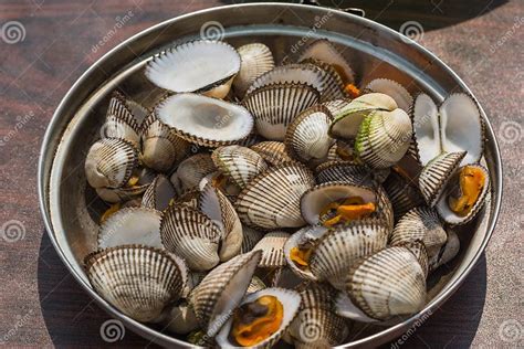 Sea Shellfish Cooked At A Campfire On The Beach Stock Image Image Of