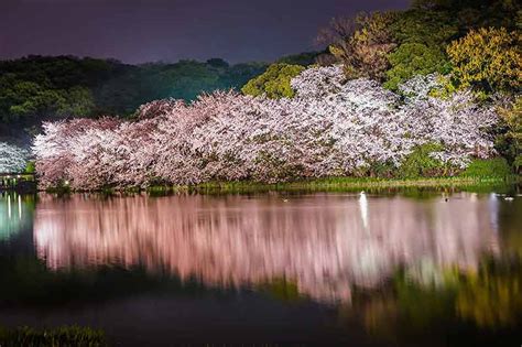 20 Things To Do In Yokohama In 2026