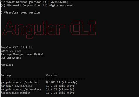 How To Check Install And Update Angular On Your System